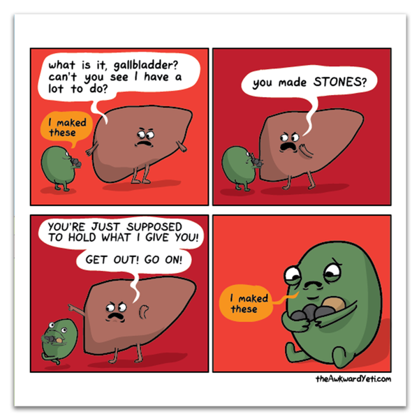 "Gallbladder's Last Day" Print – the Awkward Store