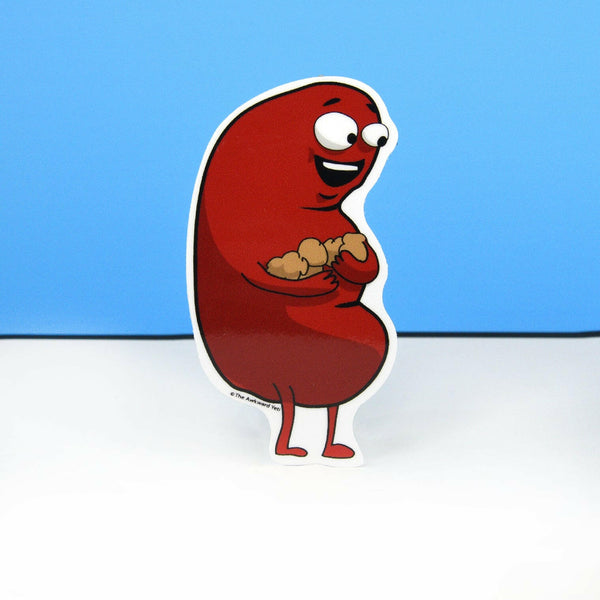Kidney Die-Cut Sticker – the Awkward Store